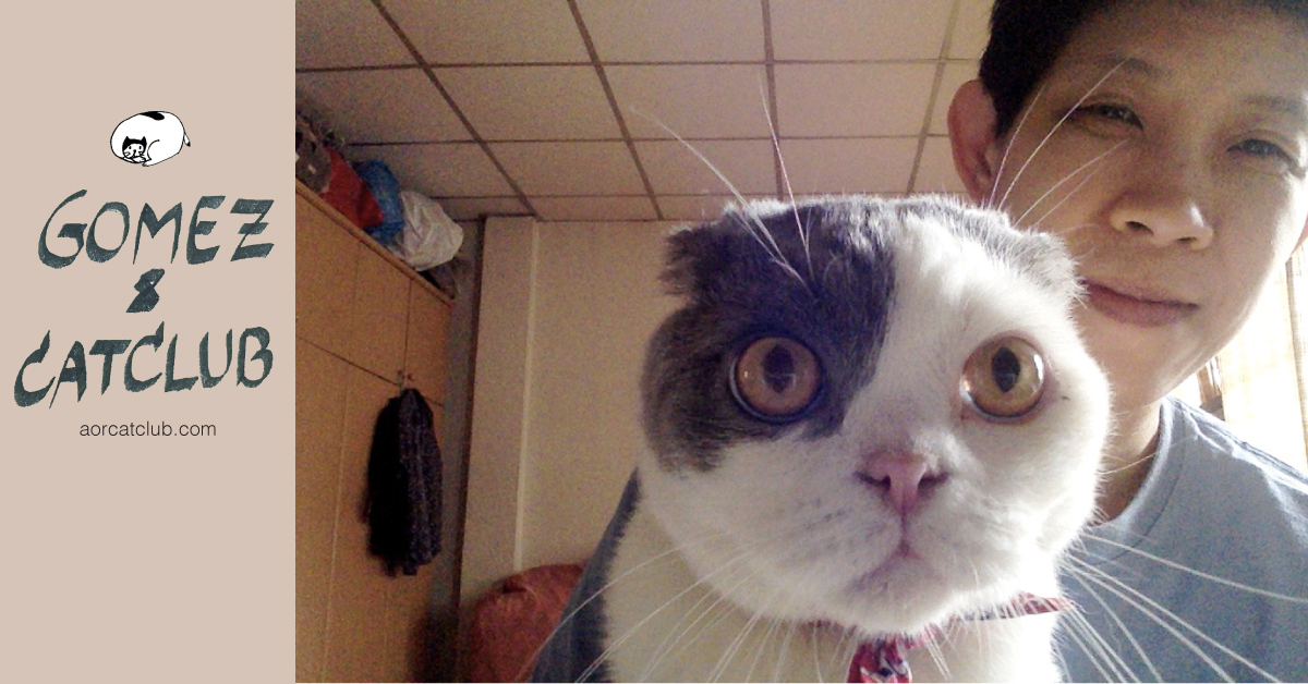 แมวตั้งต้นของ Cat club – aorcatclub